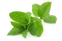 Quels fruits et légumes mettre dans vos jus pour augmenter votre ...